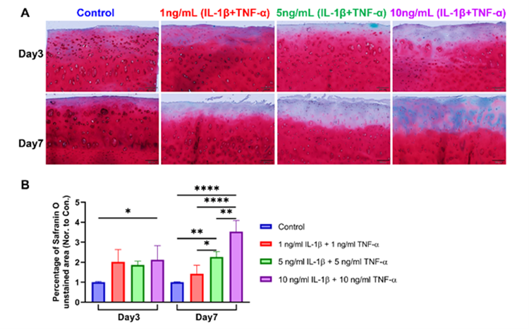 Anti-inflammatory therapy for cartilage preservation (CartRegen)