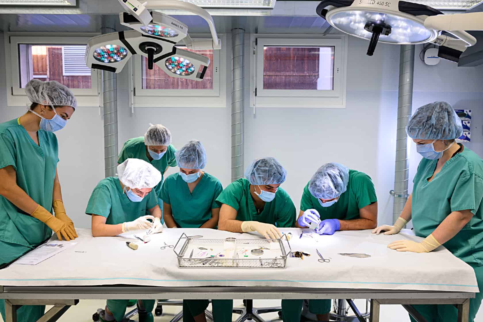 Hands-on learning in skeletal repair