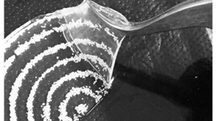 Biofunctional membrane for treatment of mandibular defect (MASTICATE)