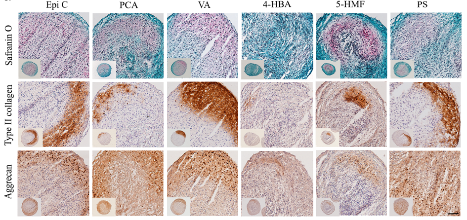 Traditional chinese medicine compound delivery system for treatment of ...