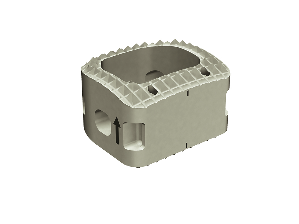 Anterior Cervical Interbody Spacer