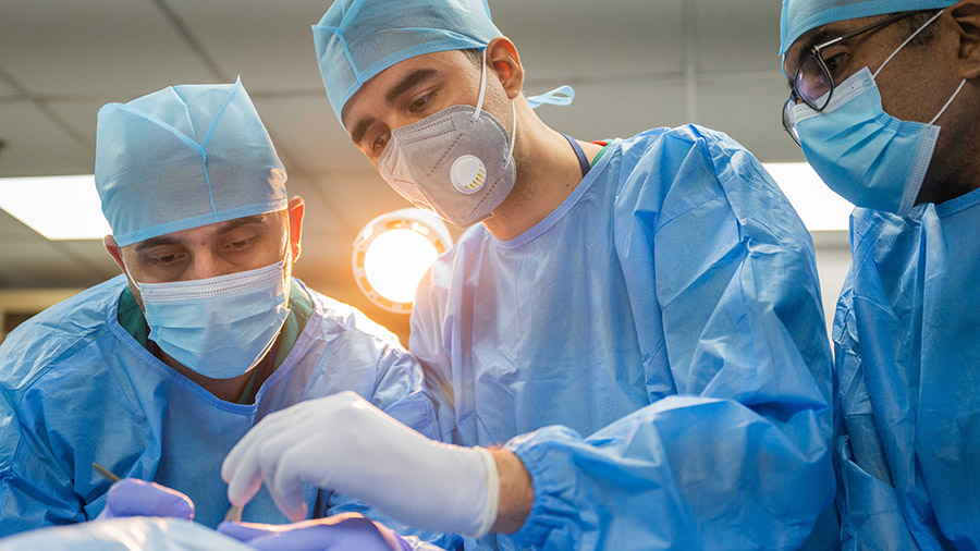 New AO CMF course focuses on aesthetic and functional surgical skills ...