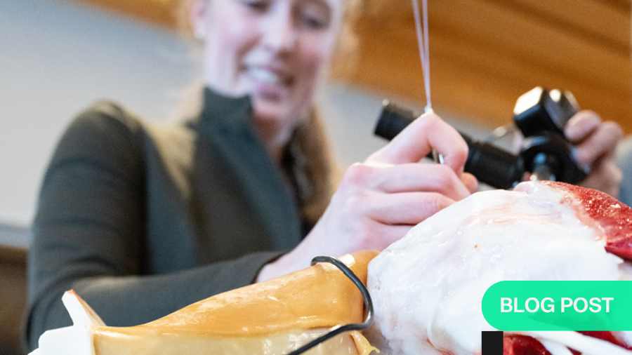 Radial meniscal tear repair: surgical guidance based on evidence