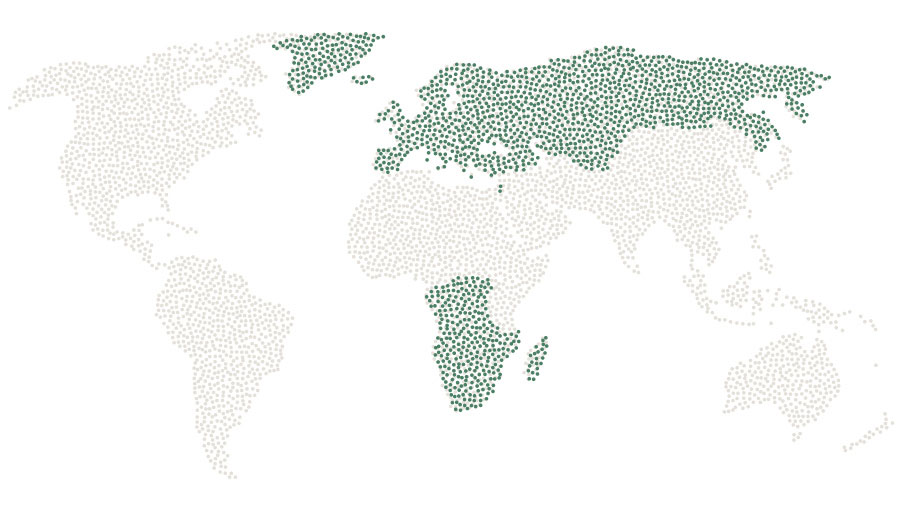 Introducing the Newly Established AO TESA Research Committee