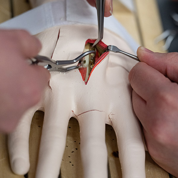 AO Trauma course: "Management of hand and wrist fractures"