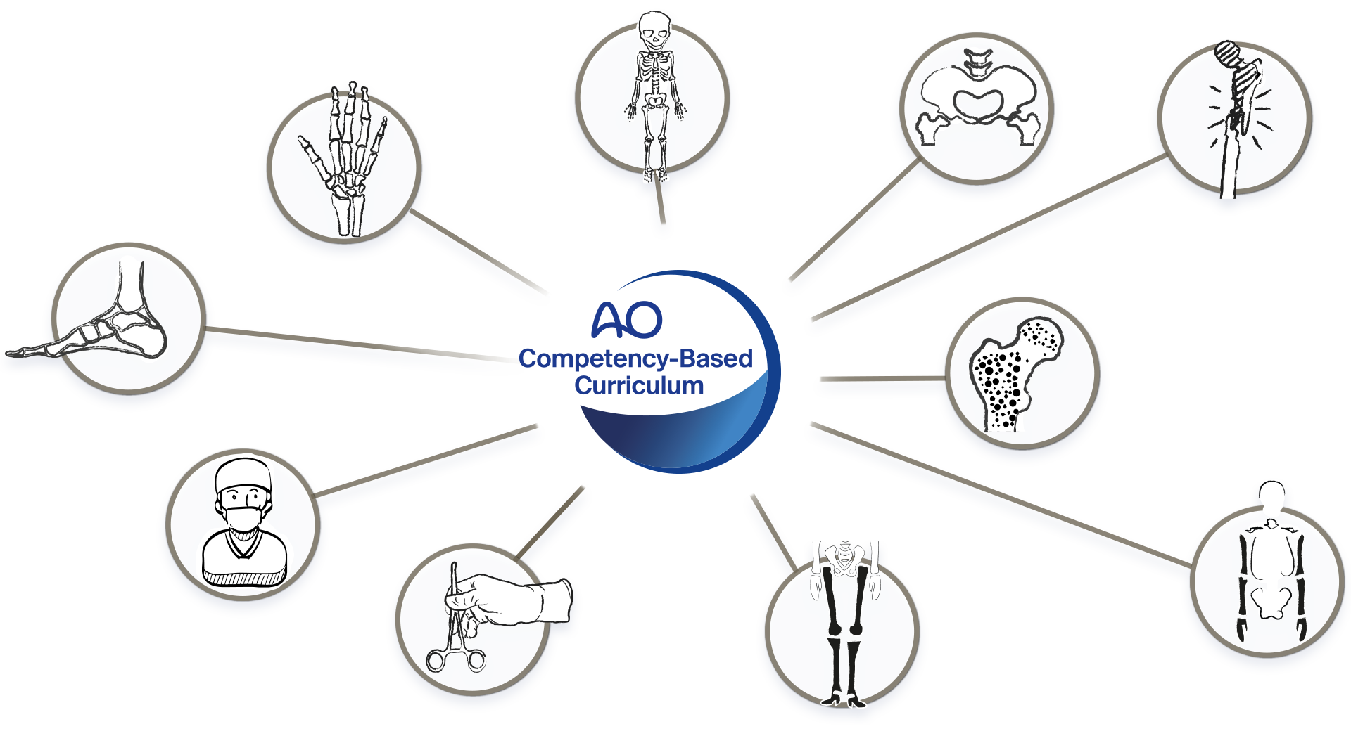 AO Trauma competency-based curricula expanded and updated
